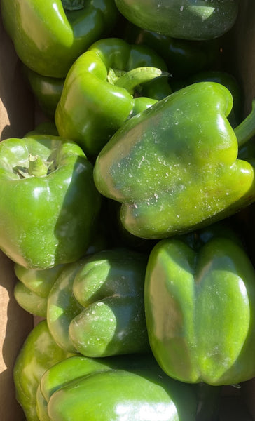 green-bell_grande.jpg?v=1695148437